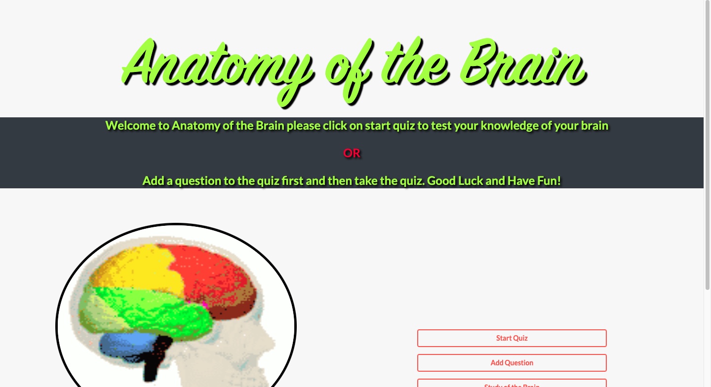 Anatomy of the Brain - Mikayla Munn